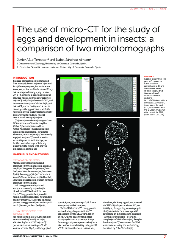 (PDF) The use of micro-CT for the study of eggs and development in insects: a comparison of two ...
