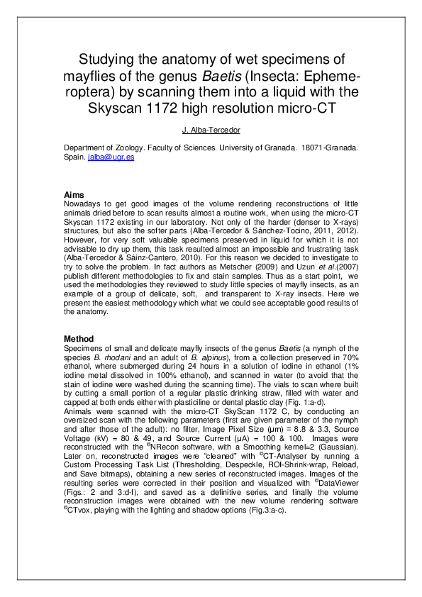 (PDF) Studying the anatomy of wet specimens of mayflies of the genus ...