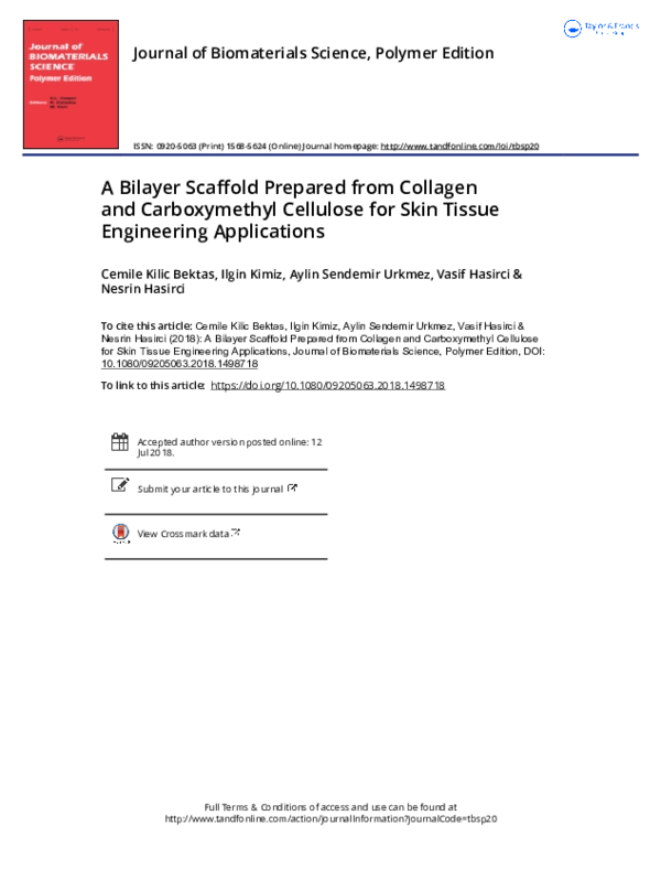 (PDF) A Bilayer Scaffold Prepared from Collagen and Carboxymethyl Cellulose for Skin Tissue ...