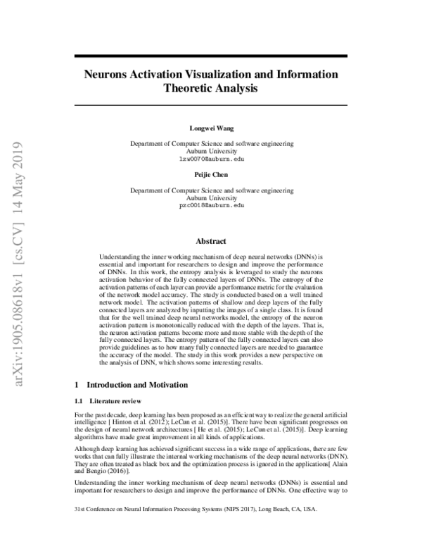 (PDF) Neurons Activation Visualization and Information Theoretic Analysis