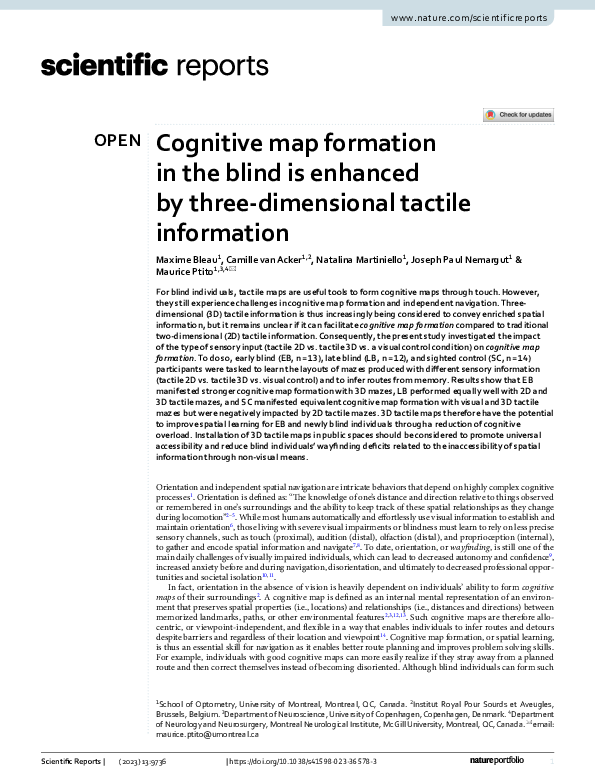 (PDF) Cognitive map formation in the blind is enhanced by three-dimensional tactile information