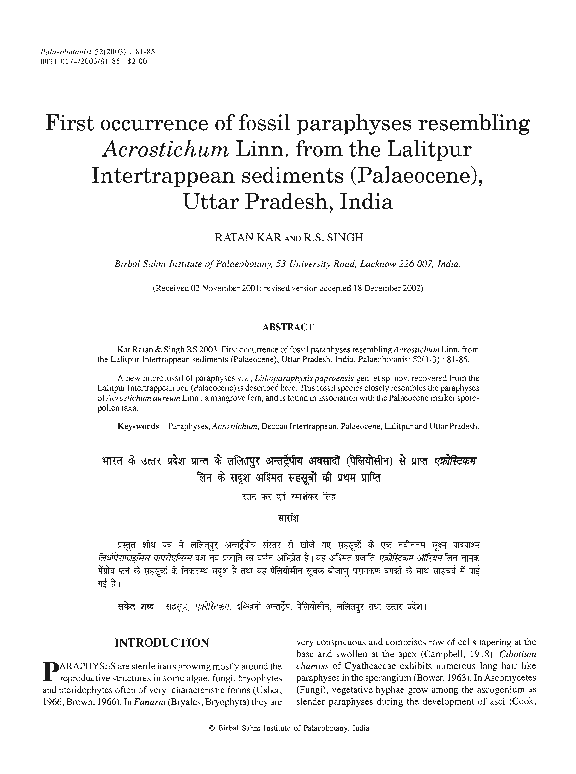 (PDF) First occurrence of fossil paraphyses resembling Acrostichum Linn ...