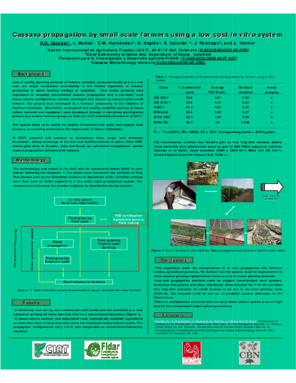 (PDF) Low-Cost Cassava Tissue Culture for Farmers