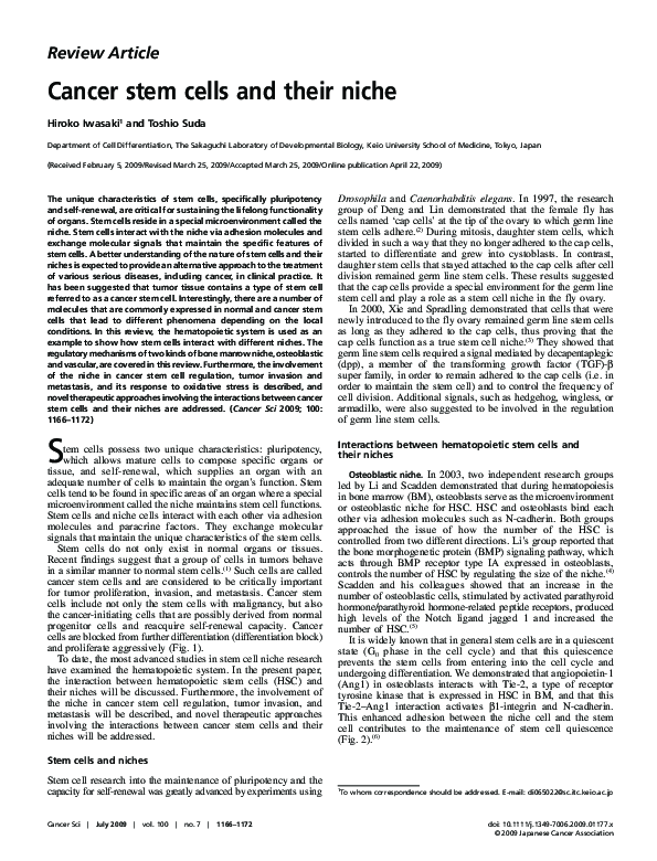 (PDF) Cancer stem cells and their niche