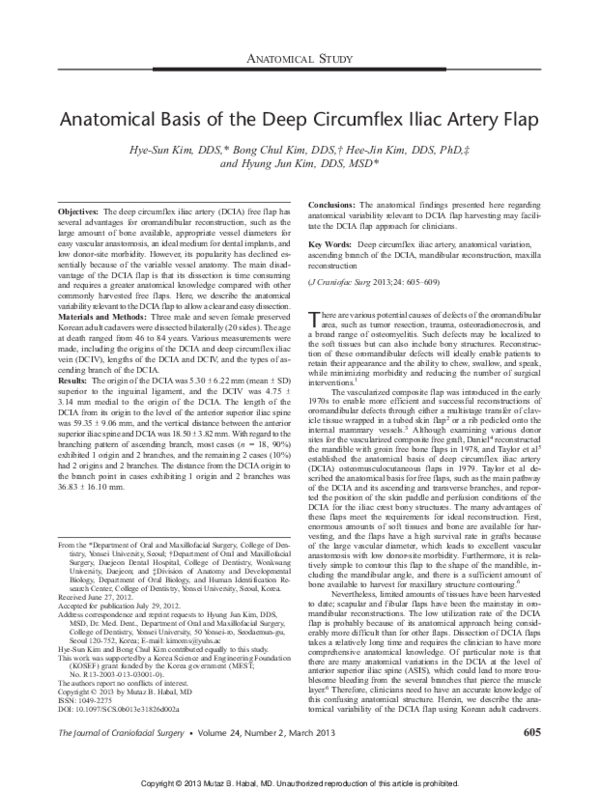 (PDF) The Anatomical Basis of the Deep Circumflex Iliac Artery ...