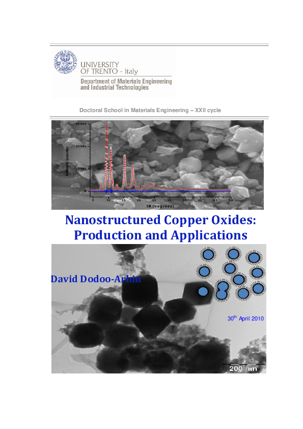 (PDF) Nanostructured Copper Oxides: Production and Applications