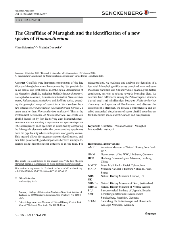 (PDF) The Giraffidae of Maragheh and the identification of a new ...