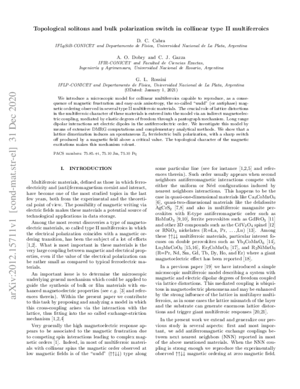 (PDF) Topological solitons and bulk polarization switch in collinear ...