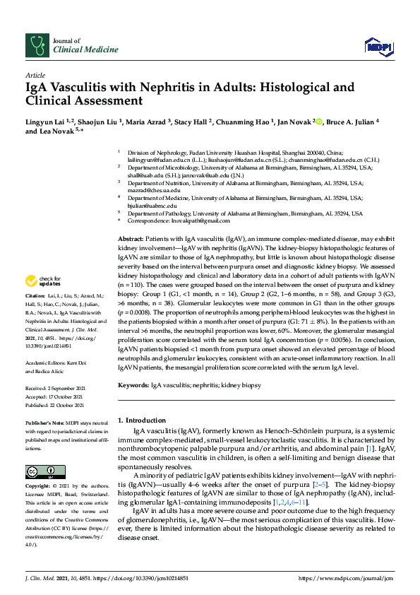 (PDF) IgA Vasculitis with Nephritis in Adults: Histological and Clinical Assessment