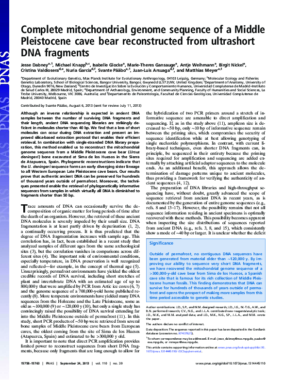 (PDF) Complete mitochondrial genome sequence of a Middle Pleistocene ...