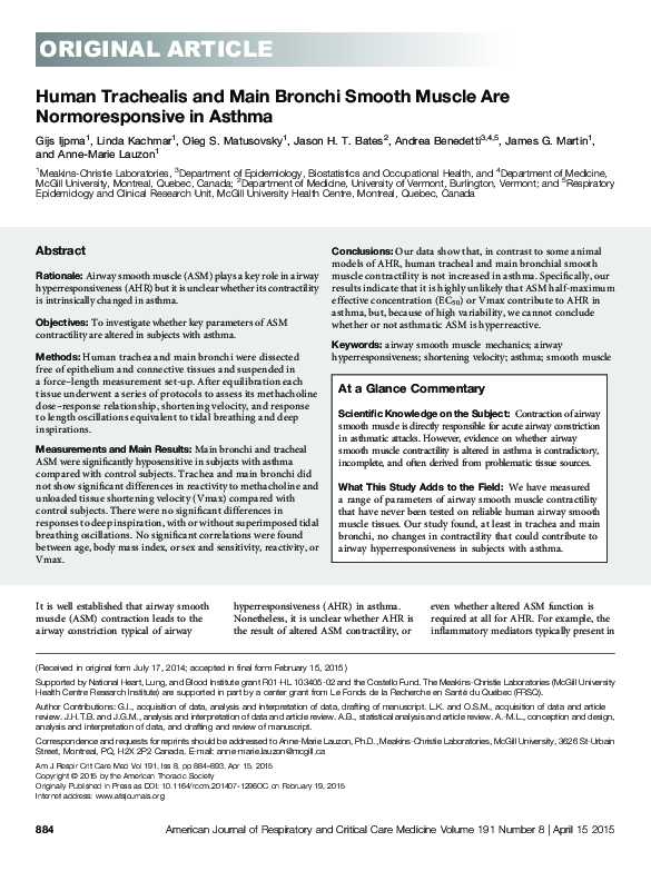 (PDF) Human Trachealis and Main Bronchi Smooth Muscle Are Normo ...