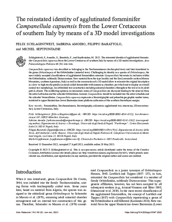 (PDF) The reinstated identity of agglutinated foraminifer Campanellula ...
