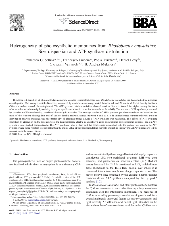 (PDF) Heterogeneity of photosynthetic membranes from Rhodobacter ...