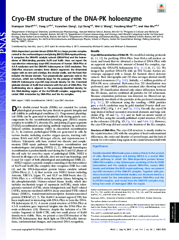 (PDF) Cryo-EM structure of the DNA-PK holoenzyme