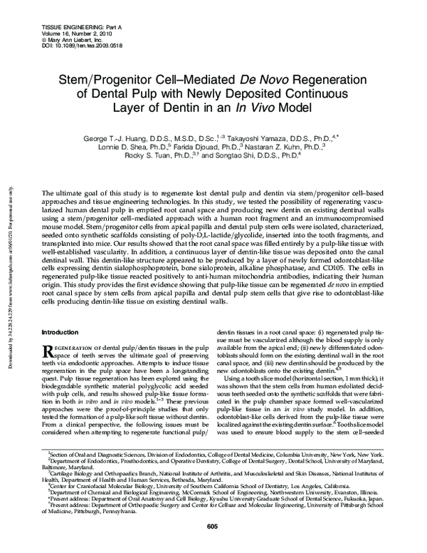 (PDF) Stem/Progenitor Cell–Mediated De Novo Regeneration of Dental Pulp ...