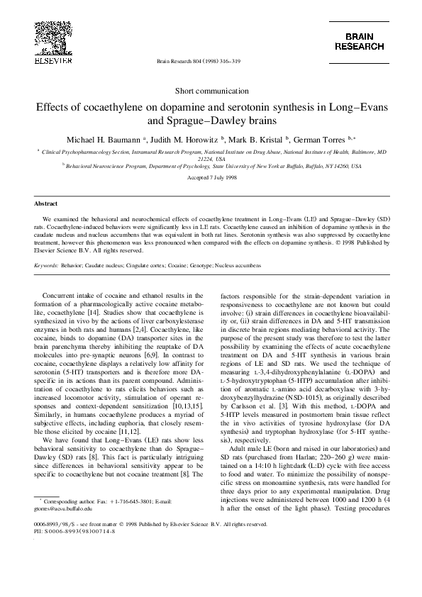 (PDF) Effects of cocaethylene on dopamine and serotonin synthesis in ...