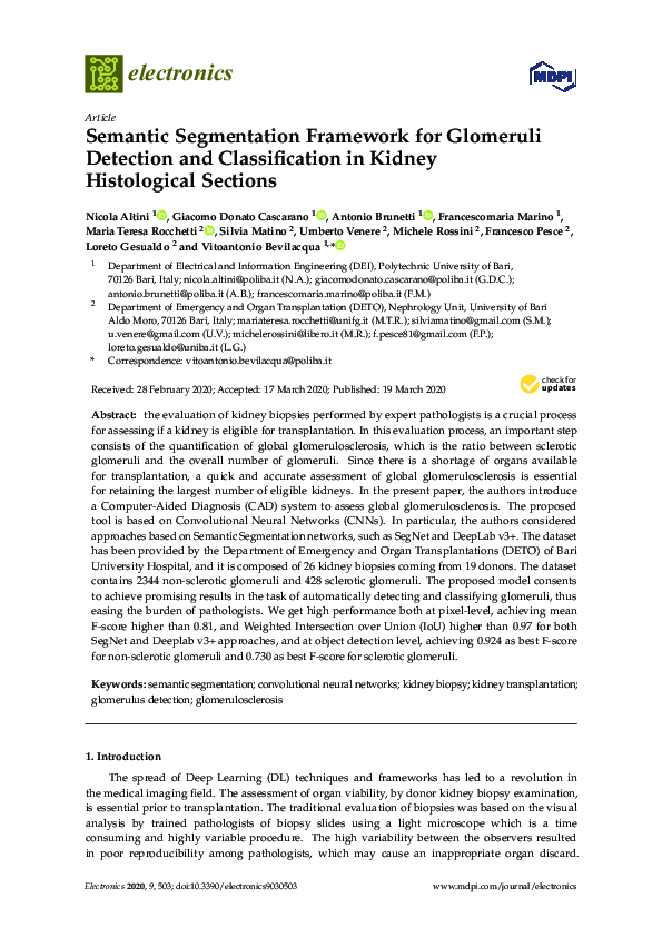 (PDF) Semantic Segmentation Framework for Glomeruli Detection and Classification in Kidney ...