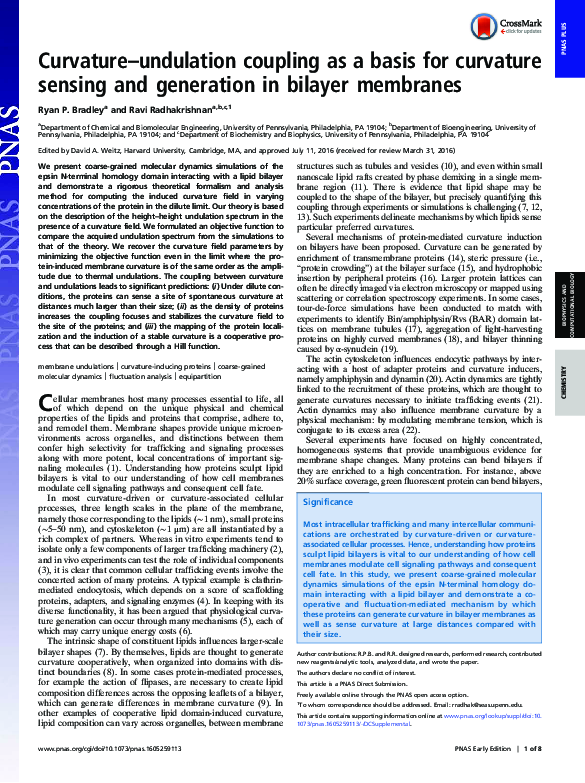 (PDF) Curvature-undulation coupling as a basis for curvature sensing ...