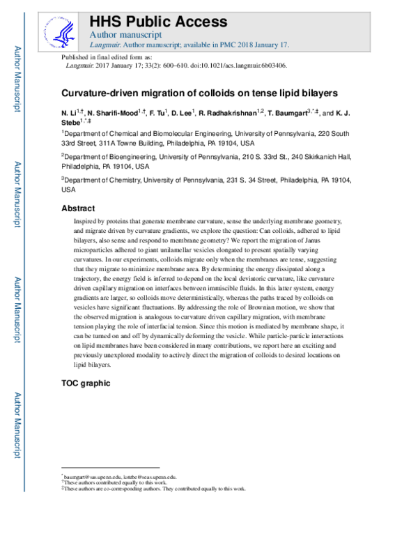 (PDF) Curvature-Driven Migration of Colloids on Tense Lipid Bilayers ...