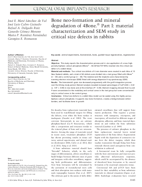 (PDF) Bone neo-formation and mineral degradation of 4Bone.®Part I ...