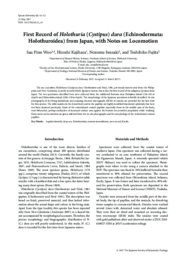 (PDF) First Record of Holothuria ( Cystipus ) dura (Echinodermata: Holothuroidea) from Japan ...
