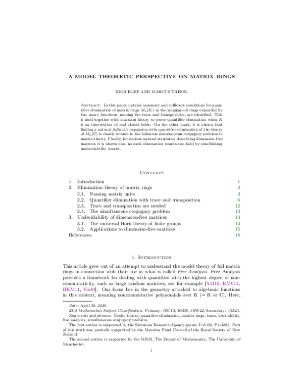 (PDF) A Model Theoretic Perspective of Matrix Rings