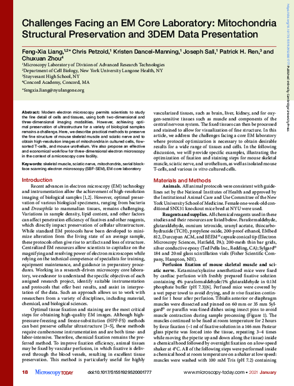 (PDF) Challenges Facing an EM Core Laboratory: Mitochondria Structural ...