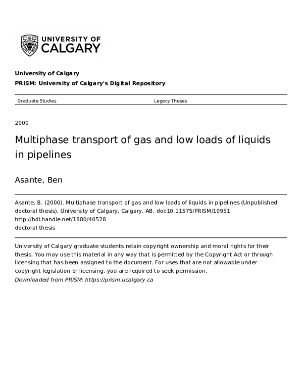 (PDF) Multiphase transport of gas and low loads of liquids in pipelines ...