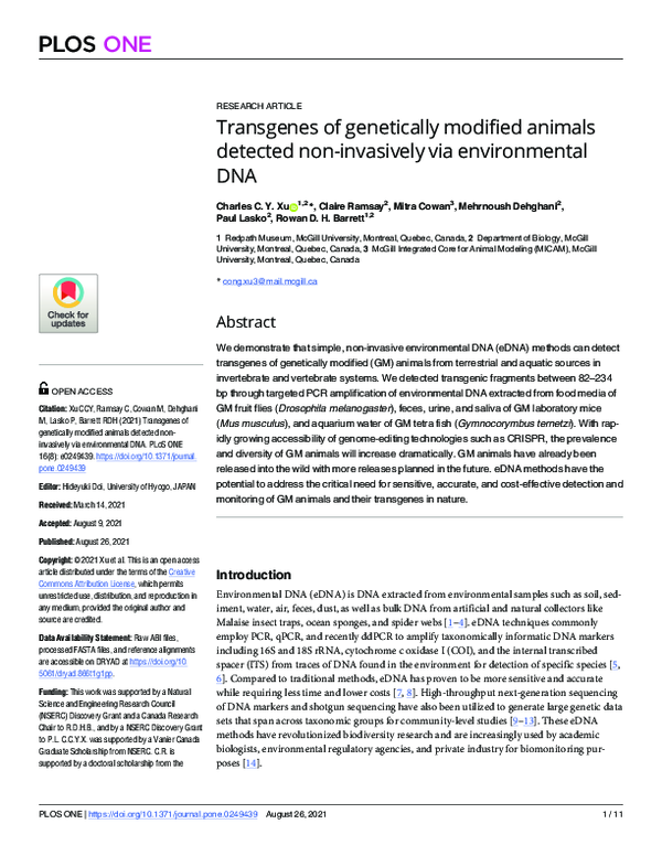 (PDF) Transgenes of genetically modified animals detected non ...