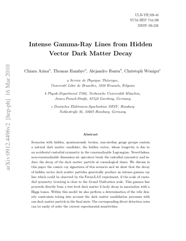 (PDF) Intense gamma-ray lines from hidden vector dark matter decay