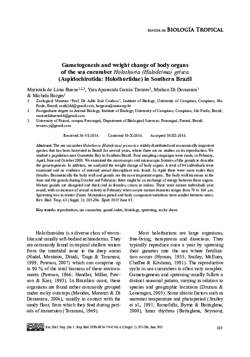 (PDF) Gametogenesis and weight change of body organs of the sea ...