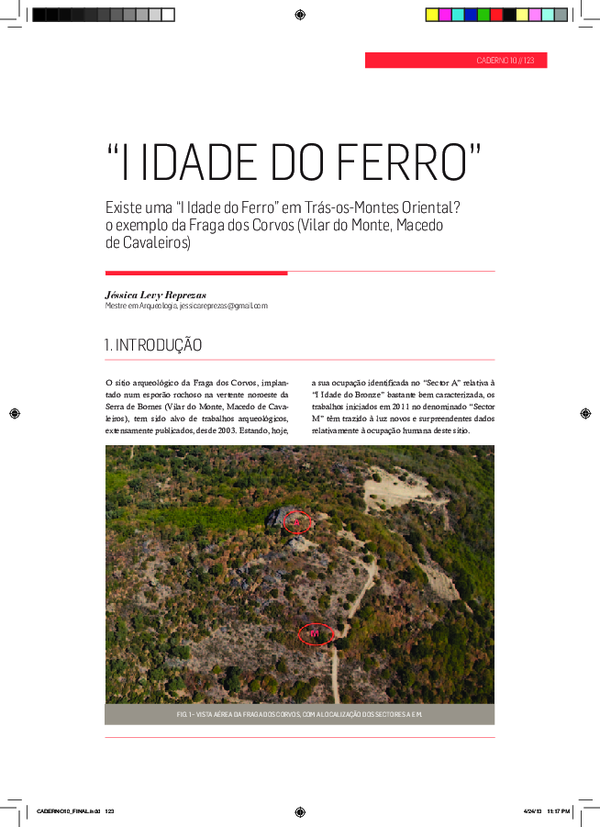 (PDF) I Idade Do Ferro