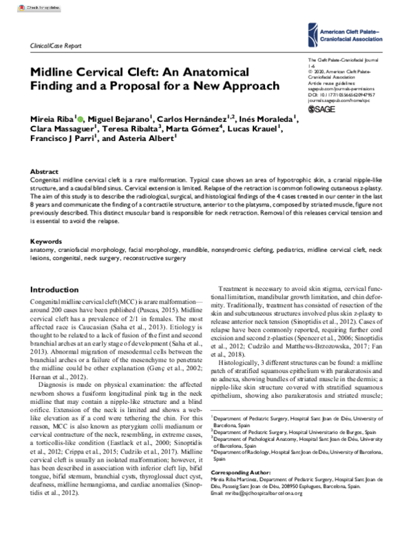 (PDF) Midline Cervical Cleft: An Anatomical Finding and a Proposal for ...