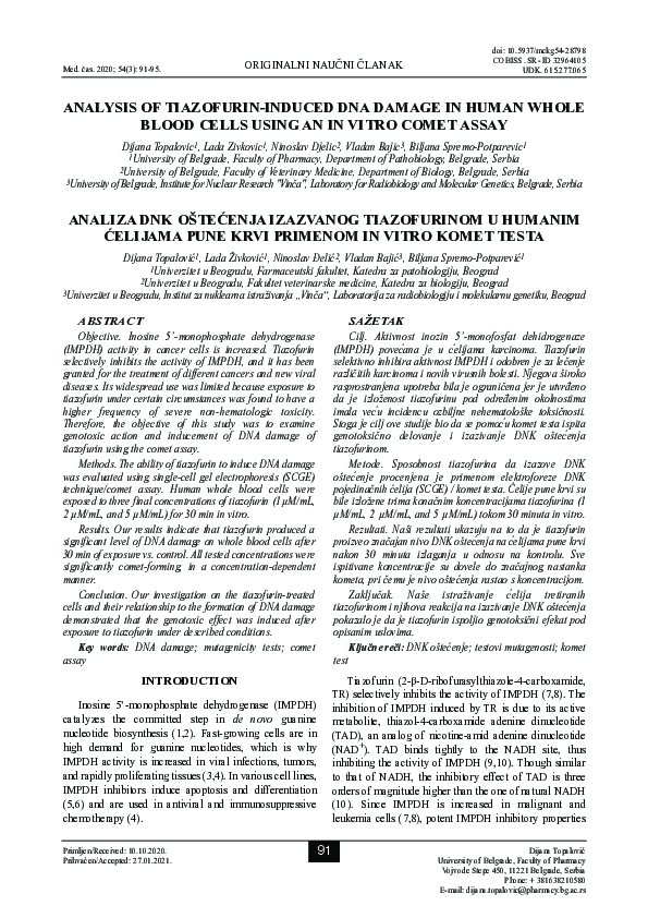 Analysis of tiazofurin-induced DNA damage in human whole blood cells ...
