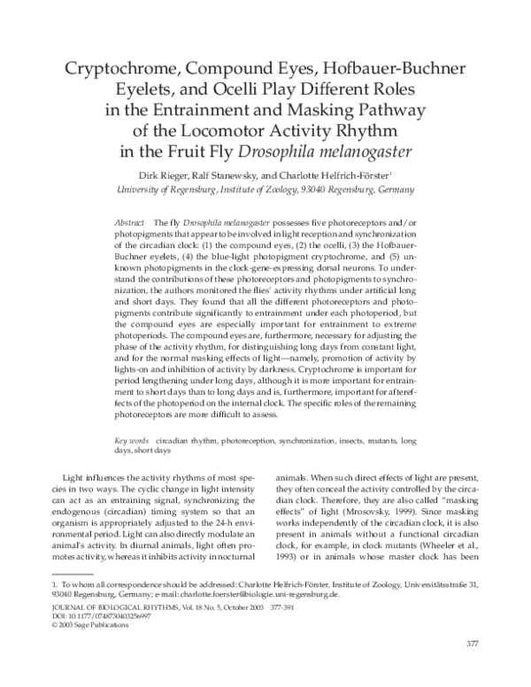 (PDF) Cryptochrome, Compound Eyes, Hofbauer-Buchner Eyelets, and Ocelli ...