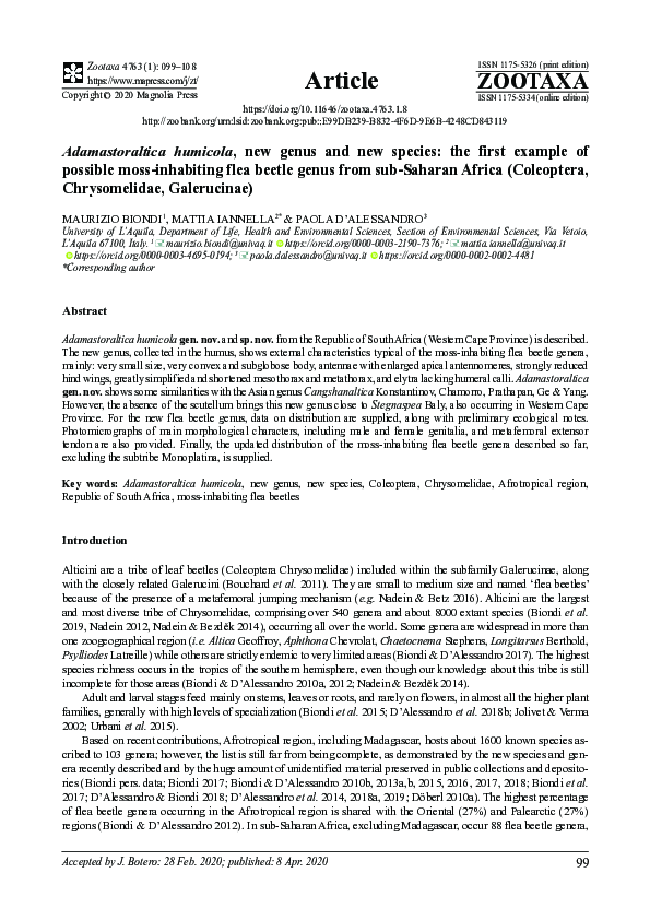 (PDF) Adamastoraltica humicola, new genus and new species: the first ...