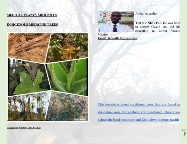 (PDF) Traditional trees