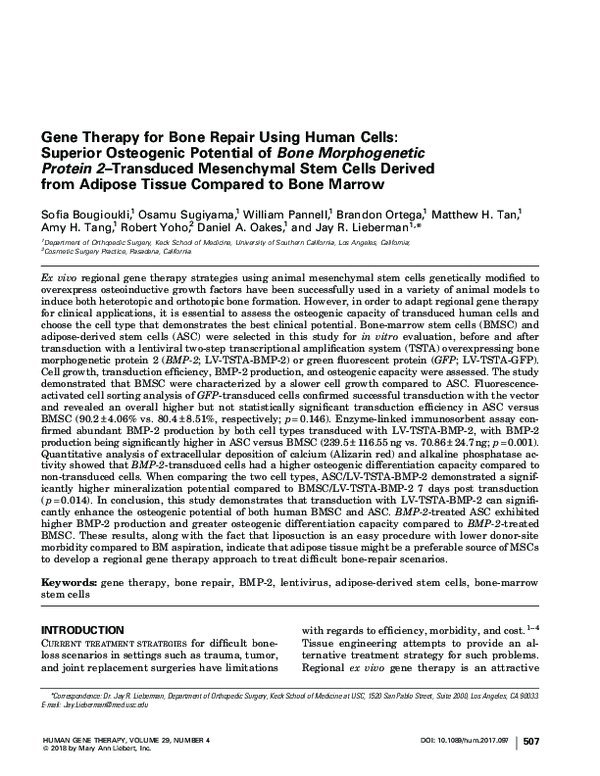 (PDF) Gene therapy for bone repair using human cells: superior ...
