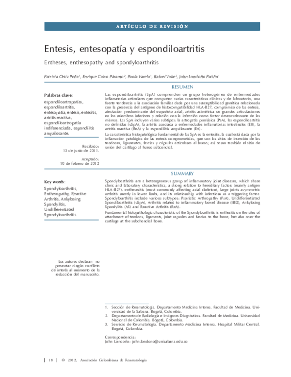 (PDF) Entesis, entesopatía y espondiloartritis