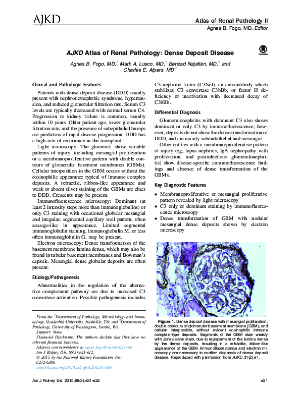 (PDF) AJKD Atlas of Renal Pathology: Dense Deposit Disease
