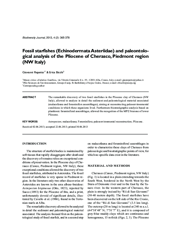 (PDF) Fossil starfishes (Echinodermata Asteriidae) and paleontological analysis of the pliocene ...