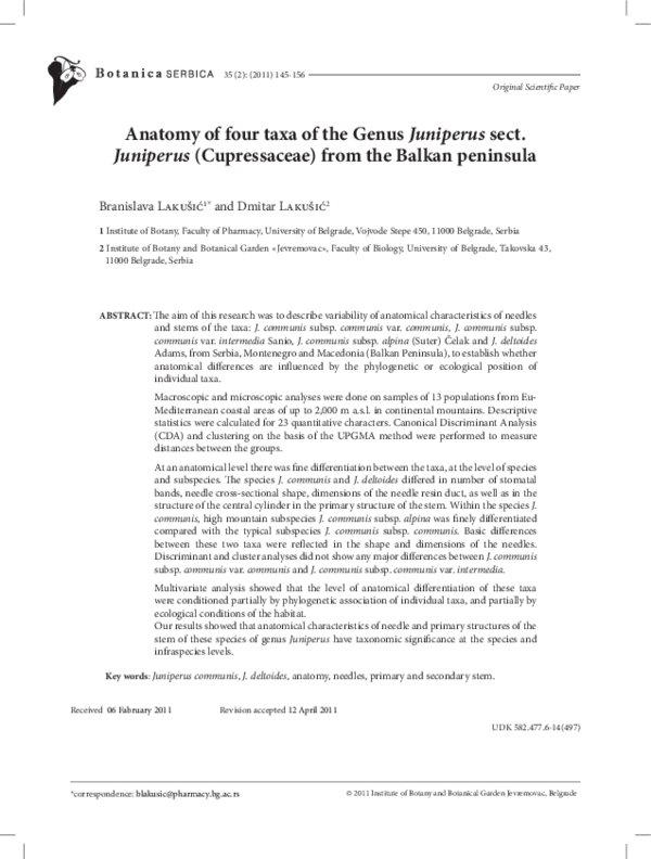 (PDF) Anatomy of four taxa of the genus Juniperus sect: Juniperus ...