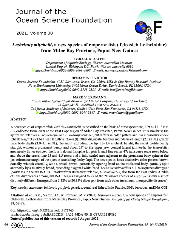 (PDF) Lethrinus mitchelli, a new species of emperor fish (Teleostei ...
