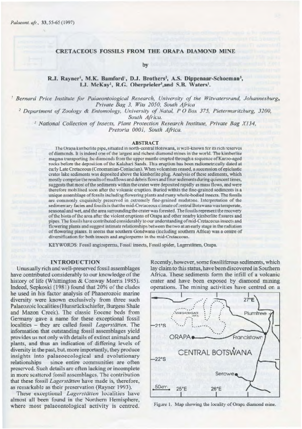 (PDF) Cretaceous fossils from the Orapa diamond mine