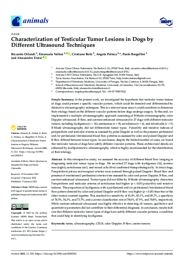 (PDF) Characterization of Testicular Tumor Lesions in Dogs by Different ...