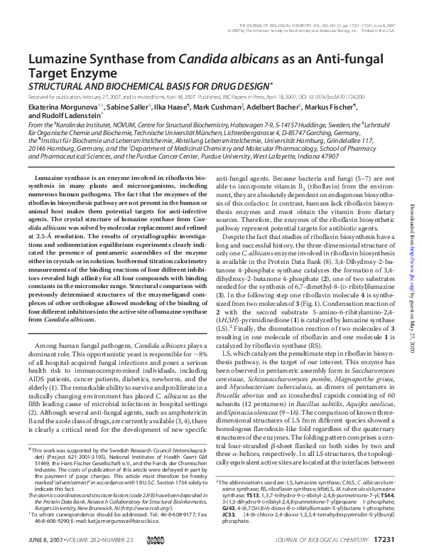 (PDF) Lumazine Synthase from Candida albicans as an Anti-fungal Target ...