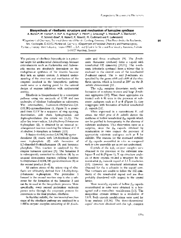 (PDF) Biosynthesis of Riboflavin: Structure and mechanism of lumazine ...
