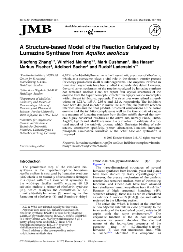 (PDF) A Structure-based Model of the Reaction Catalyzed by Lumazine ...