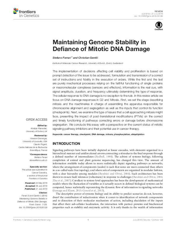 (PDF) Maintaining Genome Stability in Defiance of Mitotic DNA Damage