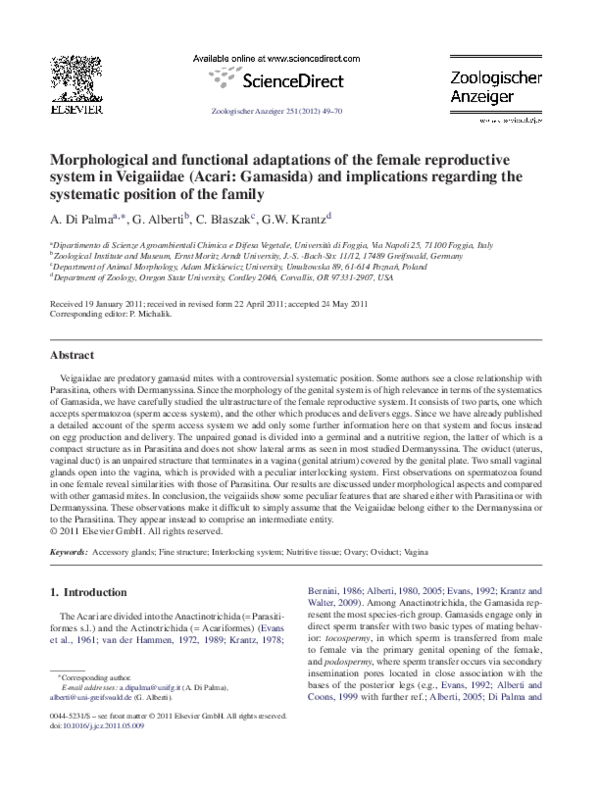 (PDF) Morphological and functional adaptations of the female ...